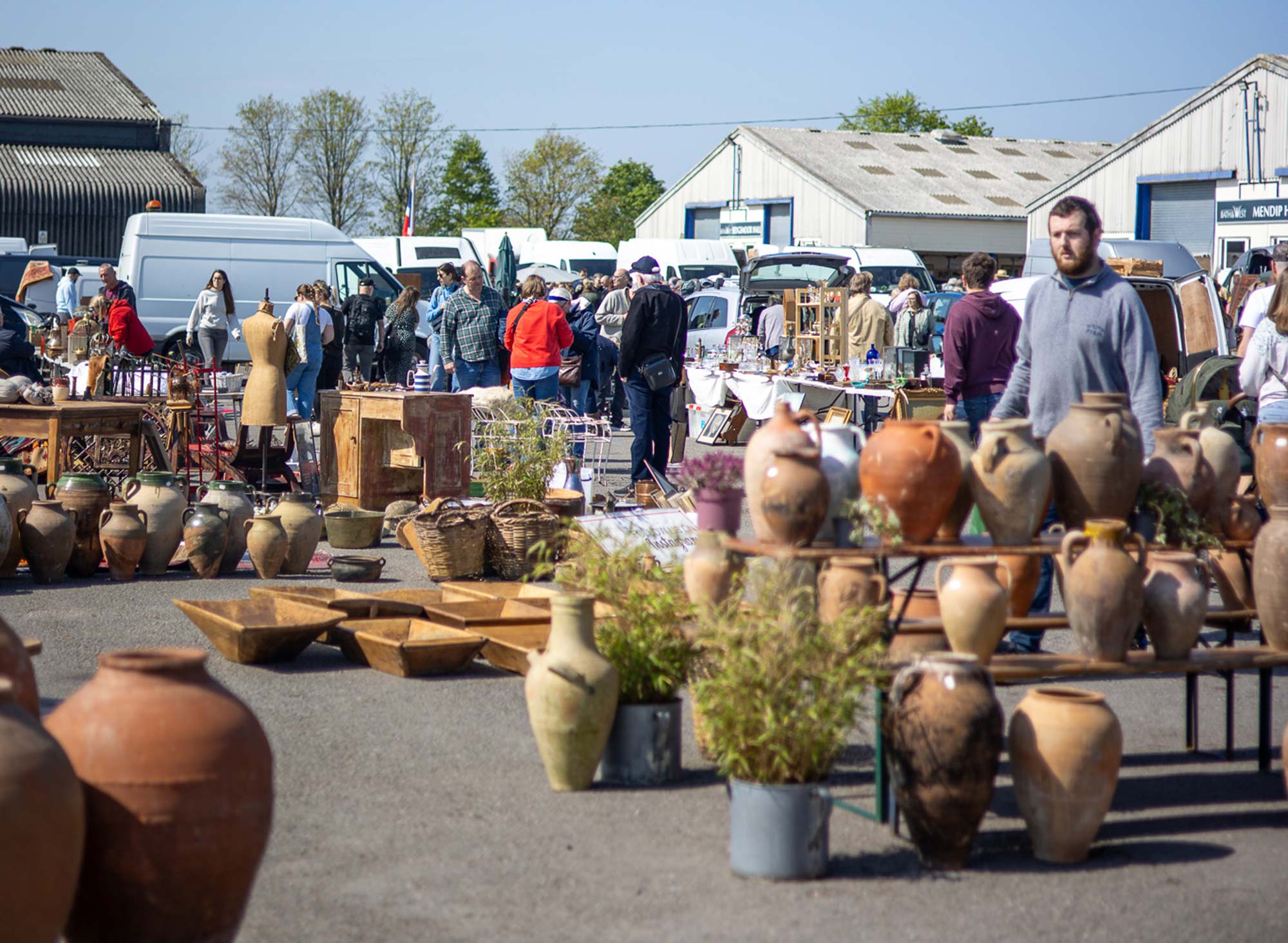 shepton mallet giant flea